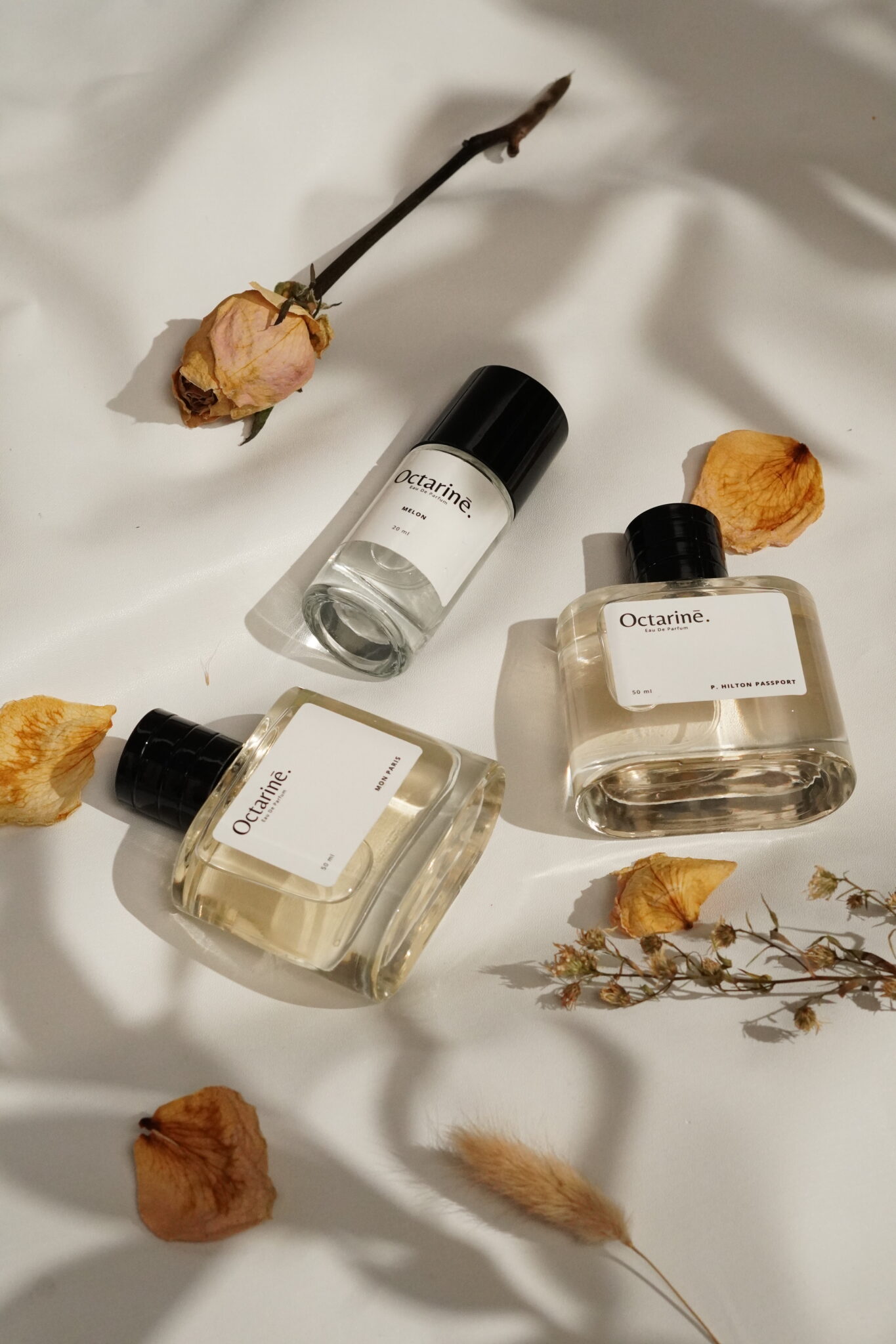 Experience the Art of Fragrance